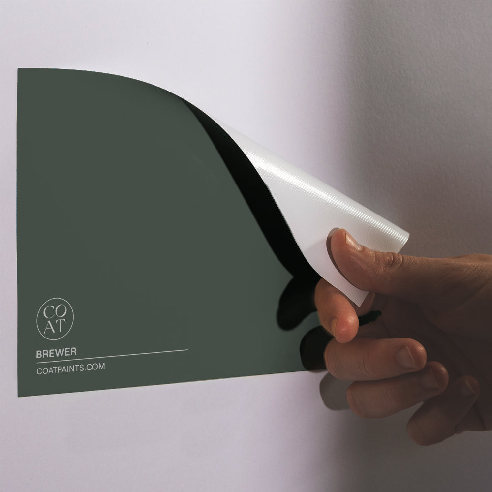 Pack d’échantillons tons vert foncé | Peinture écologique premium ...