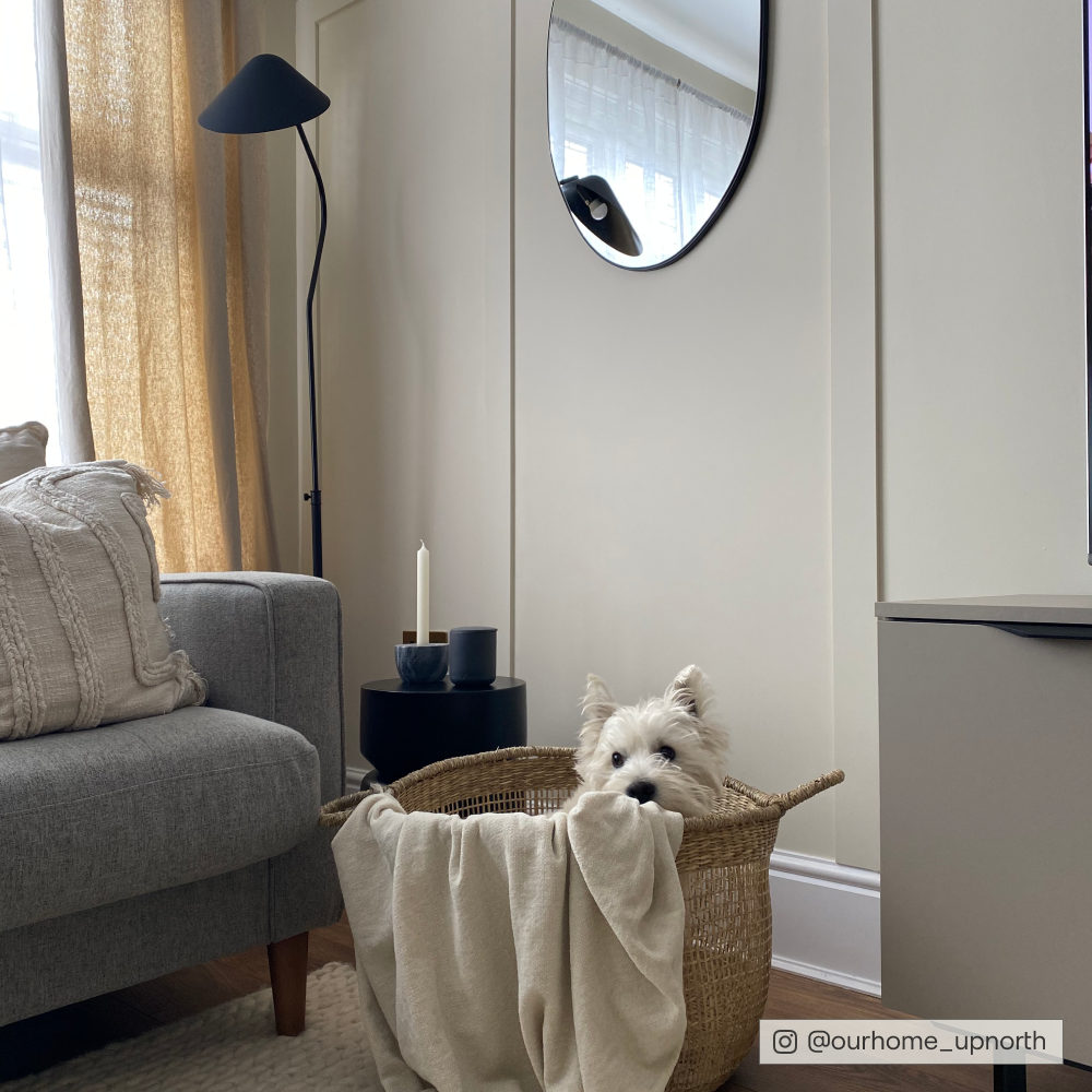 Peinture beige moderne - Fini mat (Duvet Day) – COAT Paints
